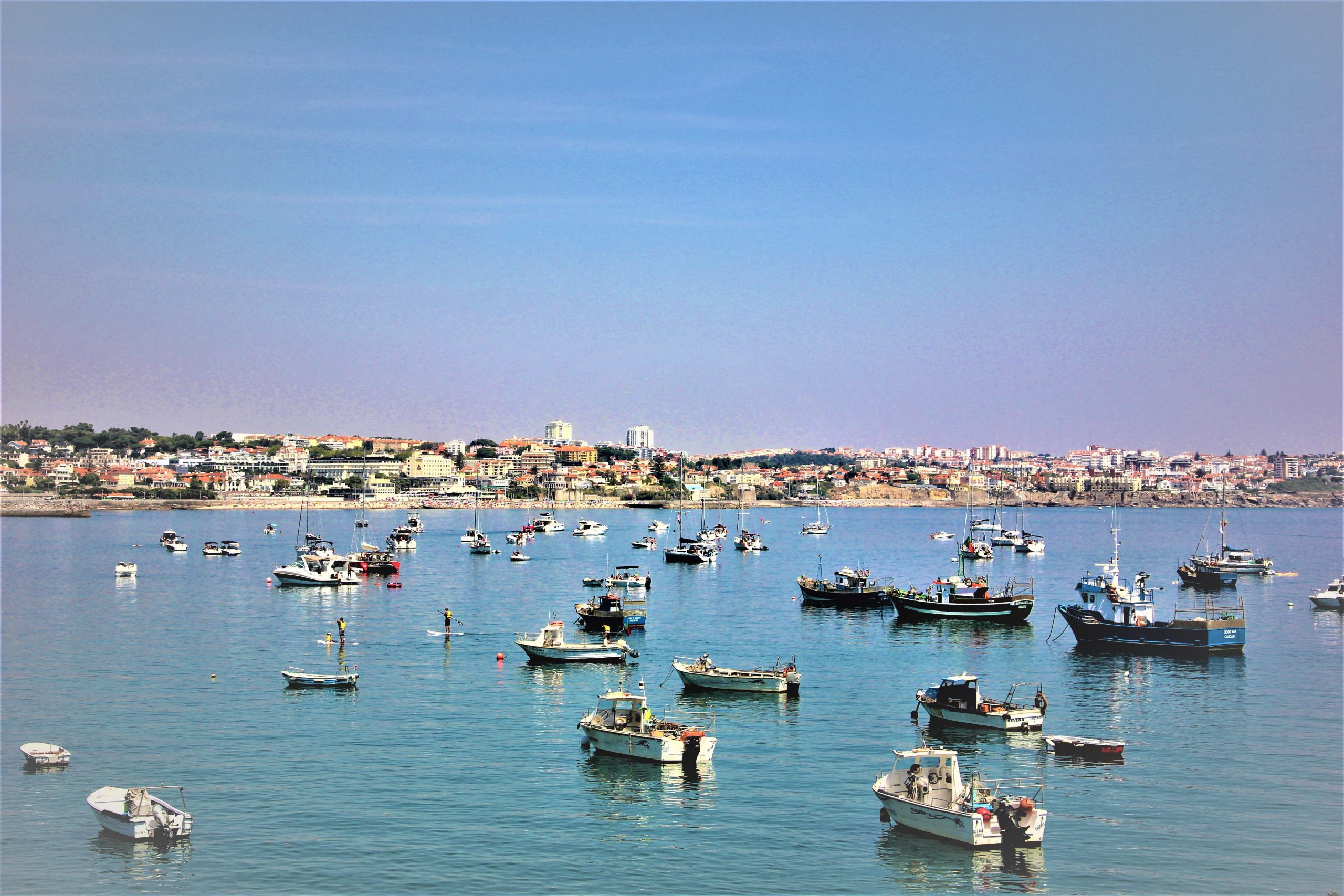 Carta de patrão local - Aquabite